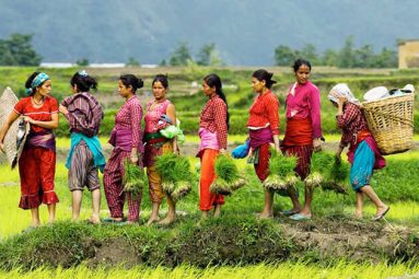 Nepal Economy - Industry Sectors & Living Standard in Nepal